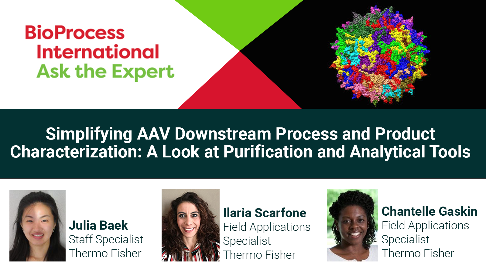 Simplifying AAV Downstream Process and Product Characterization: A Look at Purification and ...